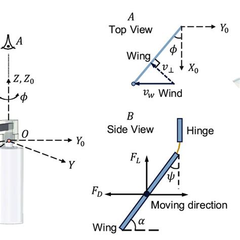 Illustration Of The Coordinate Systems And The Flapping Kinematics The Download Scientific