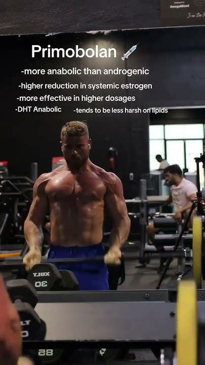 Primo Vs Masteron Fyp Steroid Hormones Peptide Primo Trt Gym Fitness Bodybuilding