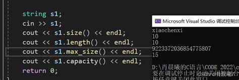 string类 第八期 allocator 和basic string csdn博客