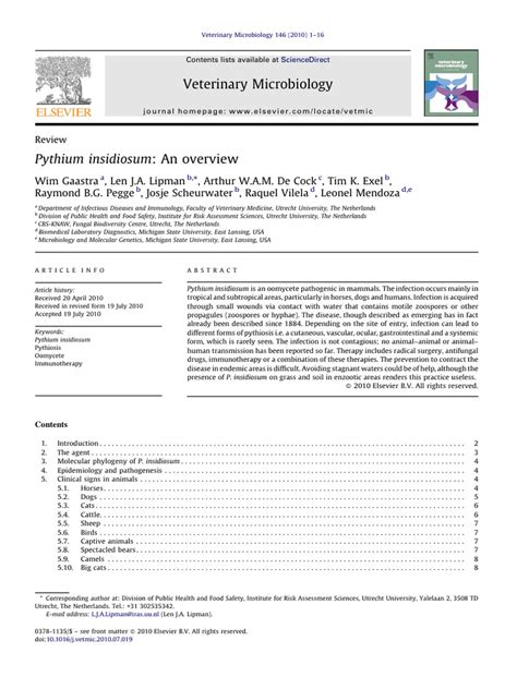 Pythium Insidiosum An Overview Pdf Biology