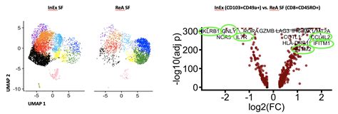 Proteomic Transcriptomic And T Cell Receptor TCR Profiling Of Synovial Integrin Expressing