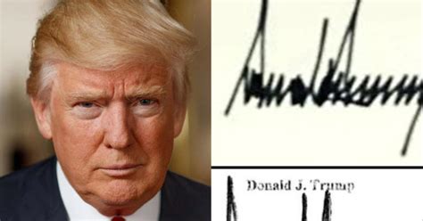 Donald Trumps Mysterious Epstein Birthday Book Scandal Netizens