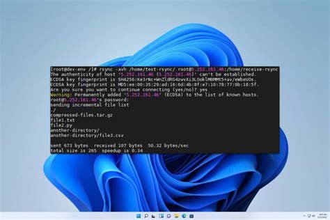 What Is Rsync In Windows And How To Install It