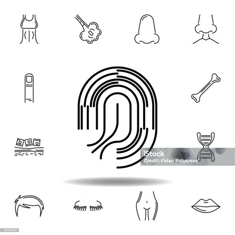 인간의 장기 지문 윤곽 선 개 아이콘의 집합입니다 표지판 및 기호는 웹 로고 모바일 앱 Ui Ux에 사용할 수 있습니다 감각 지각에 대한 스톡 벡터 아트 및 기타 이미지