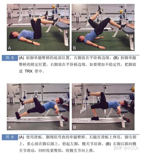 单腿臀桥 知乎