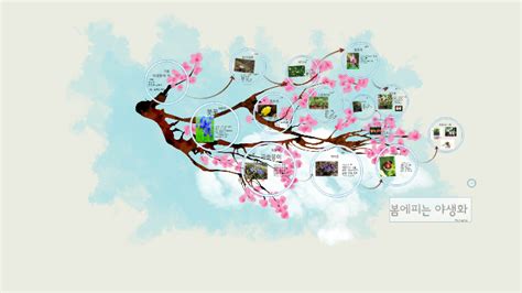 봄에 피는 야생화 By 백인서 백인서 On Prezi