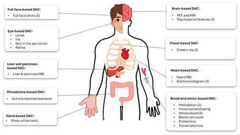 Deep Learning And Generative Artificial Intelligence In Aging Research And Healthy Longevity