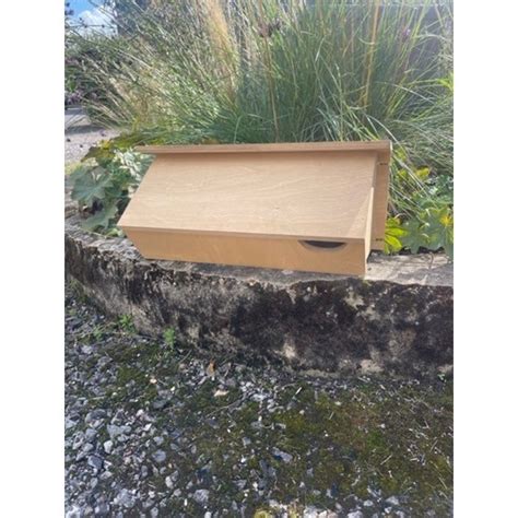 Plywood Swift Box