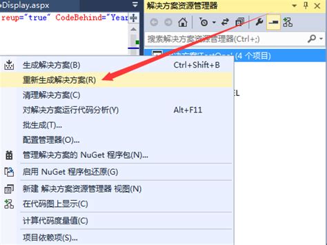 NET 发布网站步骤 CSDN博客