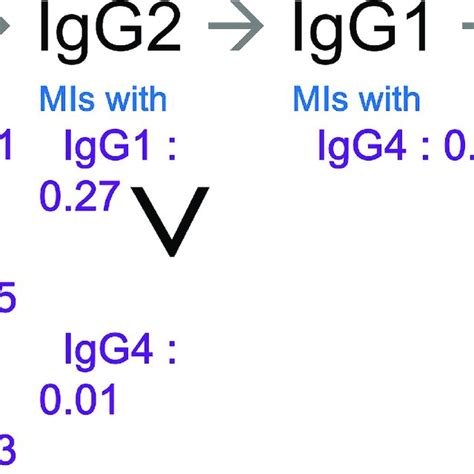 Information Diagrams For Igg Subclasses Complements And Disease Type