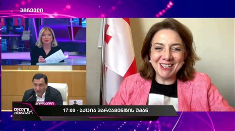 სალომე სამადაშვილი ეს დეპუტატები არიან კუთხეში მიმწყვდეული ვირთხების
