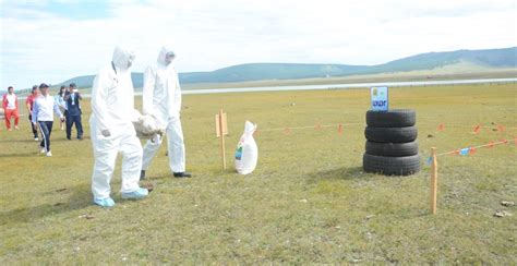 Зарим аймагт хязгаарлалт тогтоож ариутгал халдваргүйжүүлэлт хийж байна