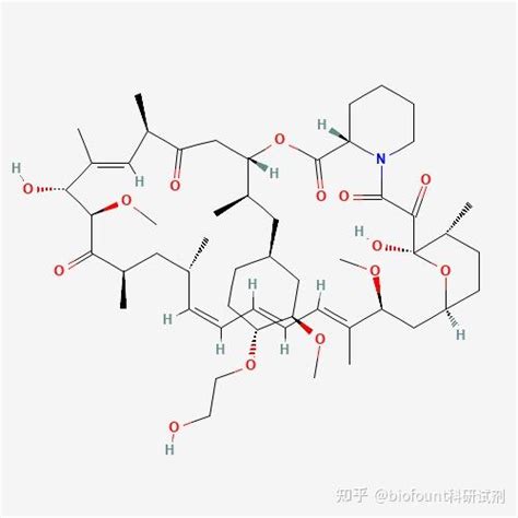 依维莫司mTOR抑制剂 知乎