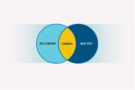 Apogee Insights Blog The Liminal State Of Higher Ed