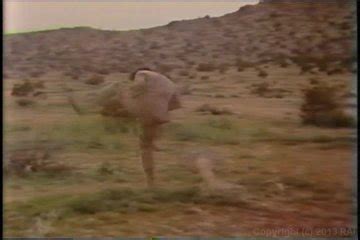 Kay Parker Double Feature Alpha Blue Archives Unlimited Streaming At Adult Empire Unlimited