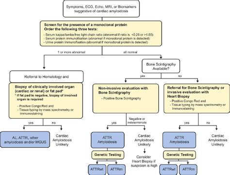 How To Diagnose Amyloidosis Electricitytax24