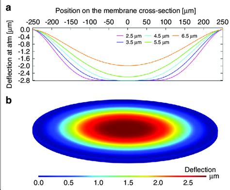 Simulated Deflections Of The Sensor Membrane A 2d Crosssections Of The Download Scientific