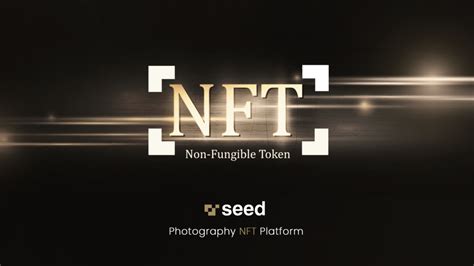 smart contracts and nft photography backbone of ownership