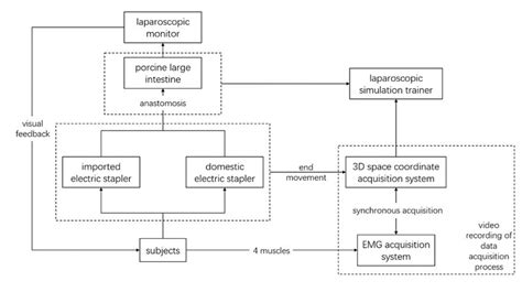 the overall framework of the experiment download scientific diagram