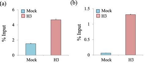 Optimization Of Chromatin Immunoprecipitation After Chromatin