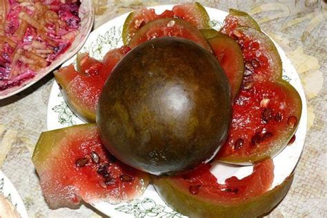 Как солить арбузы в бочке рецепт засолки целых арбузов с добавлением сахара и специй видео