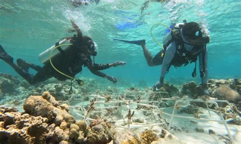 Oceanographic Monitoring Underwater Monitoring Systems