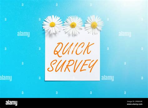 Inspiration Showing Sign Quick Survey Word Written On Conduct Fast