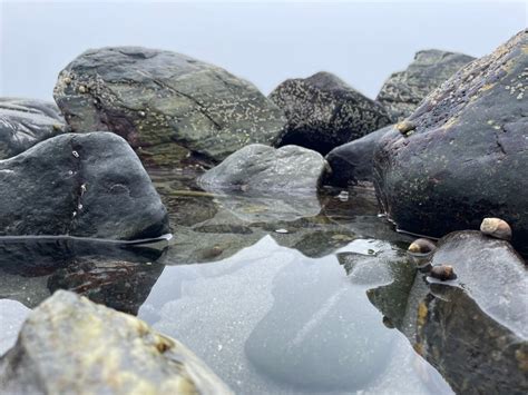 Internet Of Timeouts Peakd