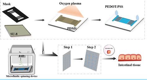 Figure 1 From Microfluidics Assisted Electrospinning Of Aligned Nanofibers For Modeling