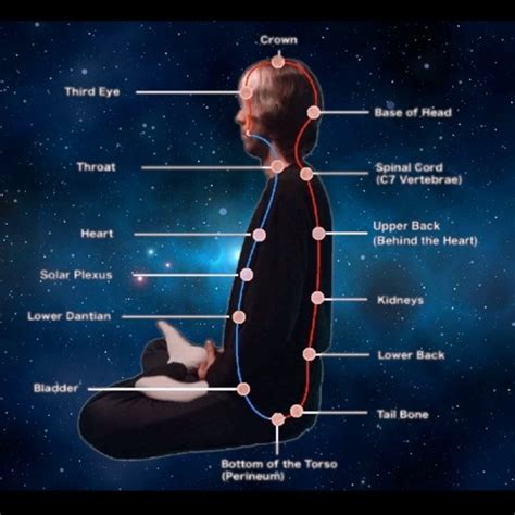 How To Do Microcosmic Orbit Meditation Free Reiki Course