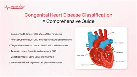 Congenital Heart Disease Classification