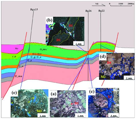 The Difference Of Diagenesis Between Different Wells A Oolitic Download Scientific Diagram
