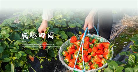 深圳凤凰山农趣谷 您身边的农耕农趣智慧田园