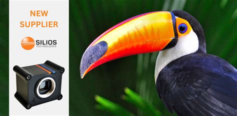 Real Time Multispectral Cameras From Silios Technologies Pro Lite Technology