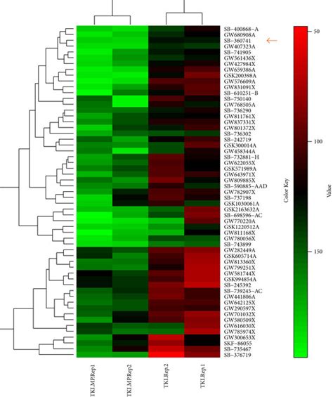 High Throughput Screen Of Protein Kinase Inhibitors In Sd1 And Reh