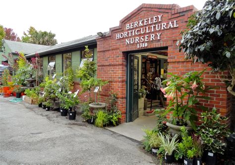 Danger Garden Visiting Berkeley Horticultural Nursery