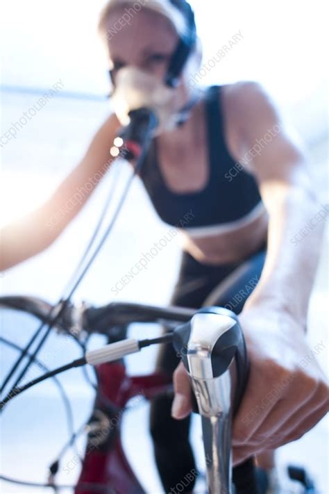 Performance Testing Stock Image F Science Photo Library