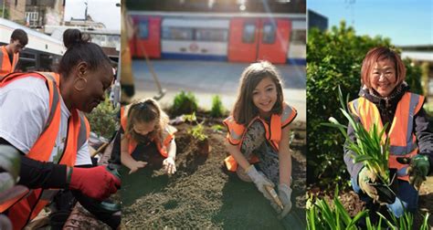 Kyle Baldock Growing Home With Energy Garden Carbon Copy