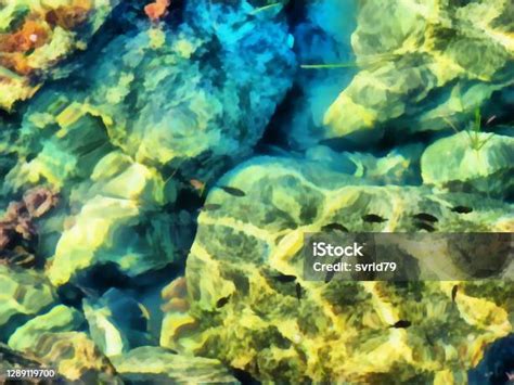 수채화 바다 풍경 해저 배경 투명한 물을 통해 해저 해양 생물 여행 및 휴가 개념 디지털 페인팅 수채화를 그립니다 강에 대한 스톡 사진 및 기타 이미지 Istock