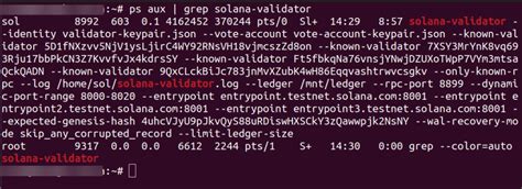 How To Run A Solana Node Cherry Servers
