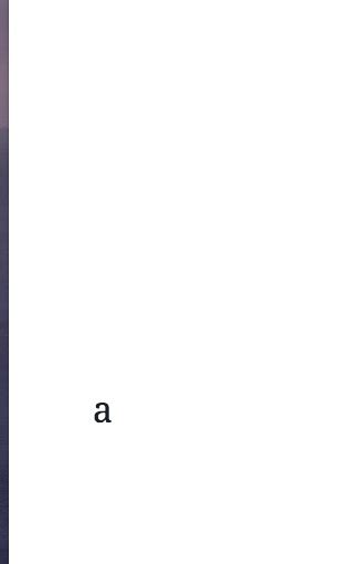 Layout Grid Content Overflows When Its Inside A Group Block · Issue 4 · Automatticblock