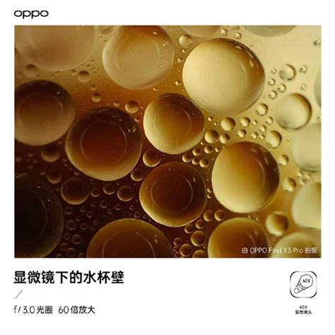 Microscope Thaimobilecenter Com