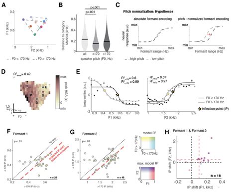 Shifting Dynamic Ranges Underlie Normalization Of Vowel Representation Download Scientific