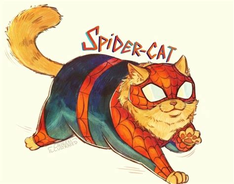 Spider Cats The New Trend In Feline Fashion Funny Cats Goofy Cats Silly Cats Pictures Artofit