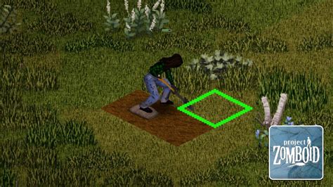 Project Zomboid How To Open The Console Commands List Gamer Empire