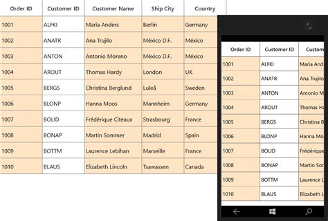 Styles And Templates In Uwp Datagrid Control Syncfusion
