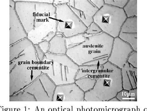 Figure 1 From Three Dimensional Visualization Of Microstructures