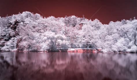 红外线摄影高清图片下载 正版图片506485468 摄图网