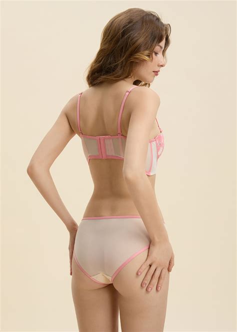 Riley Sexy Pink Floral Embroidery Lace Brief Panties