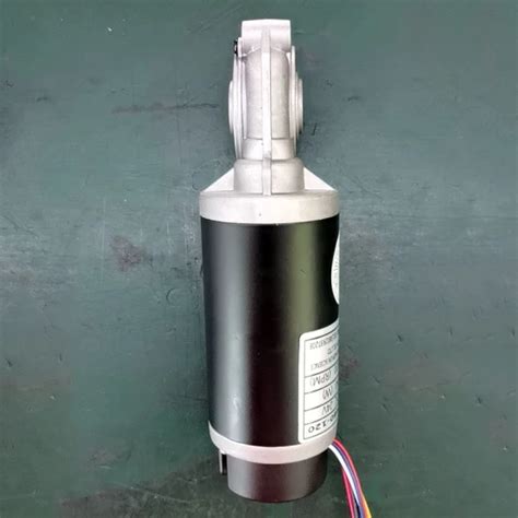 12v Powerful Dc Motor High Torque High Rpm Gear Motor 30kg 100kg 10nm